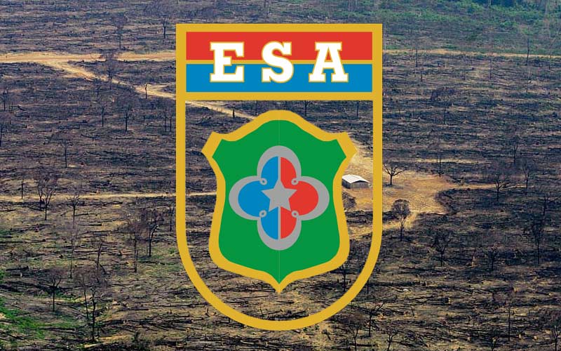 "Insanidade!" - Exército faz propaganda da nova Escola de Sargentos ...