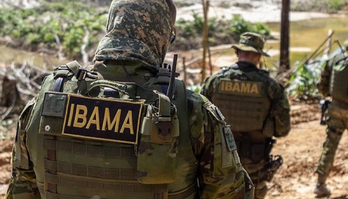 Concurso IBAMA encerra HOJE o prazo de inscrições: vagas para todo ...